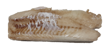 FILE CONGRO ROSA CX21KG